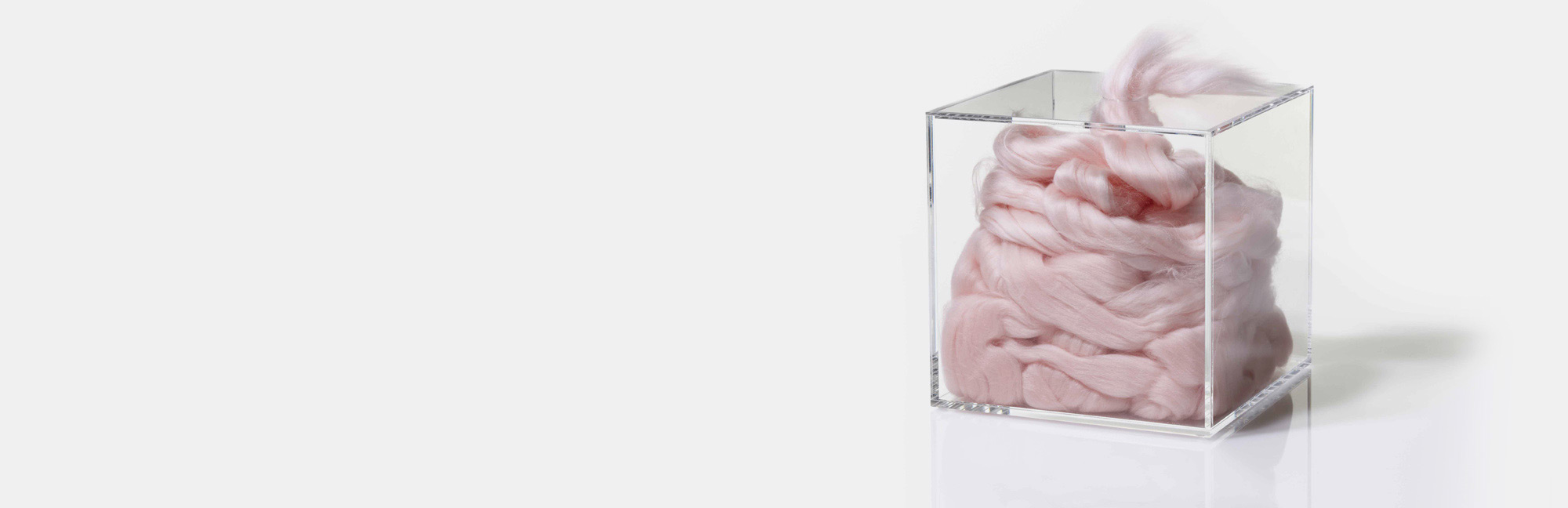 Homepage - FOX Shield